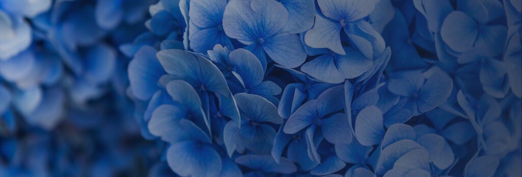 Joseph James Eberly | Furman Home for Funerals